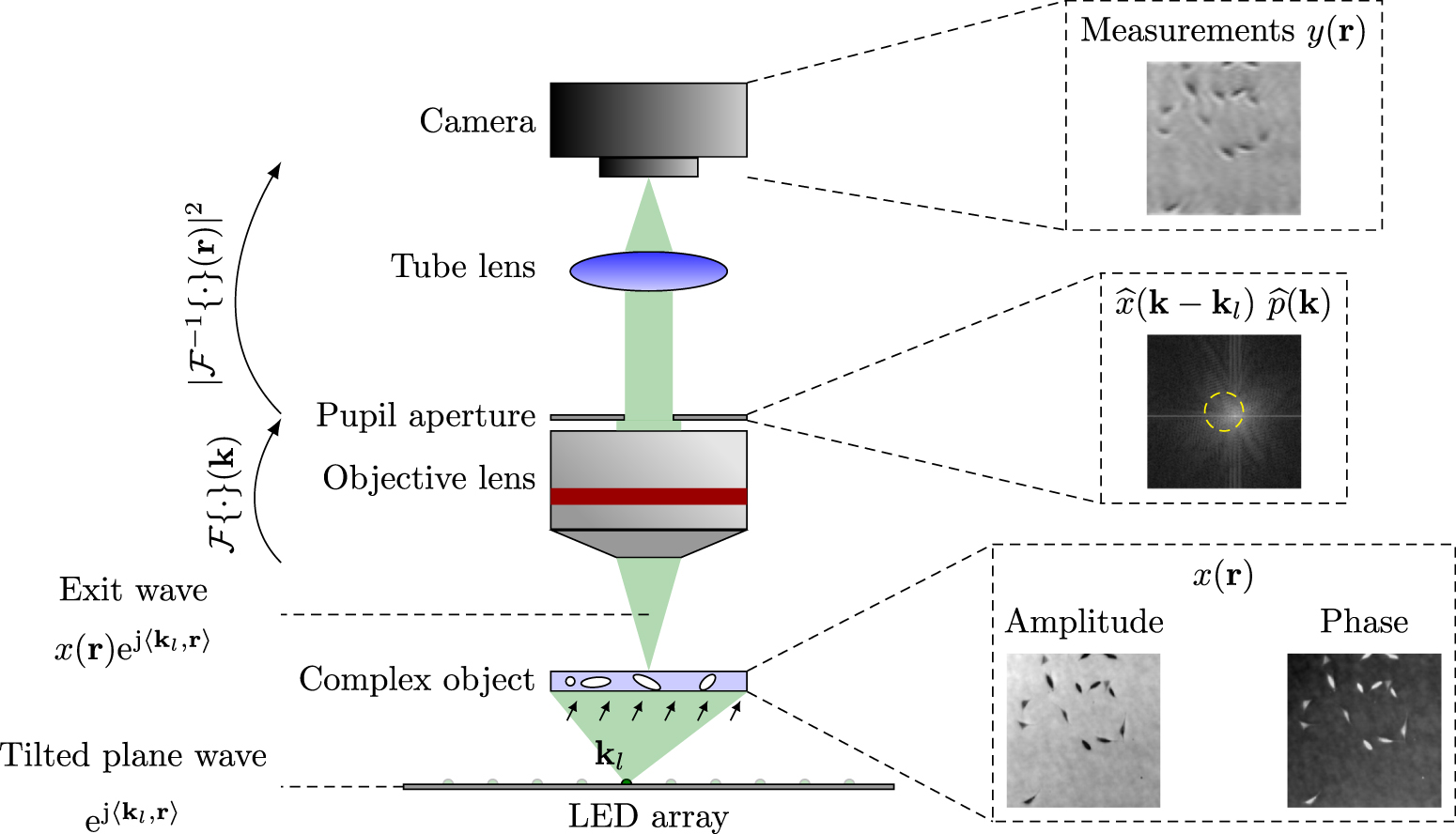 Dynamic Fourier ptychography with deep spatiotemporal priors - IOPscience