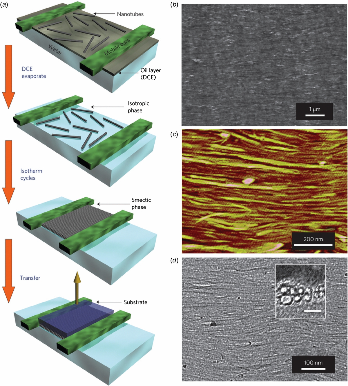 Review of carbon nanotube nanoelectronics and macroelectronics - IOPscience