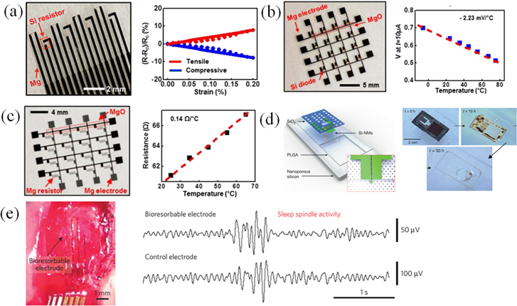 High-performance green semiconductor devices: materials, designs, and ...
