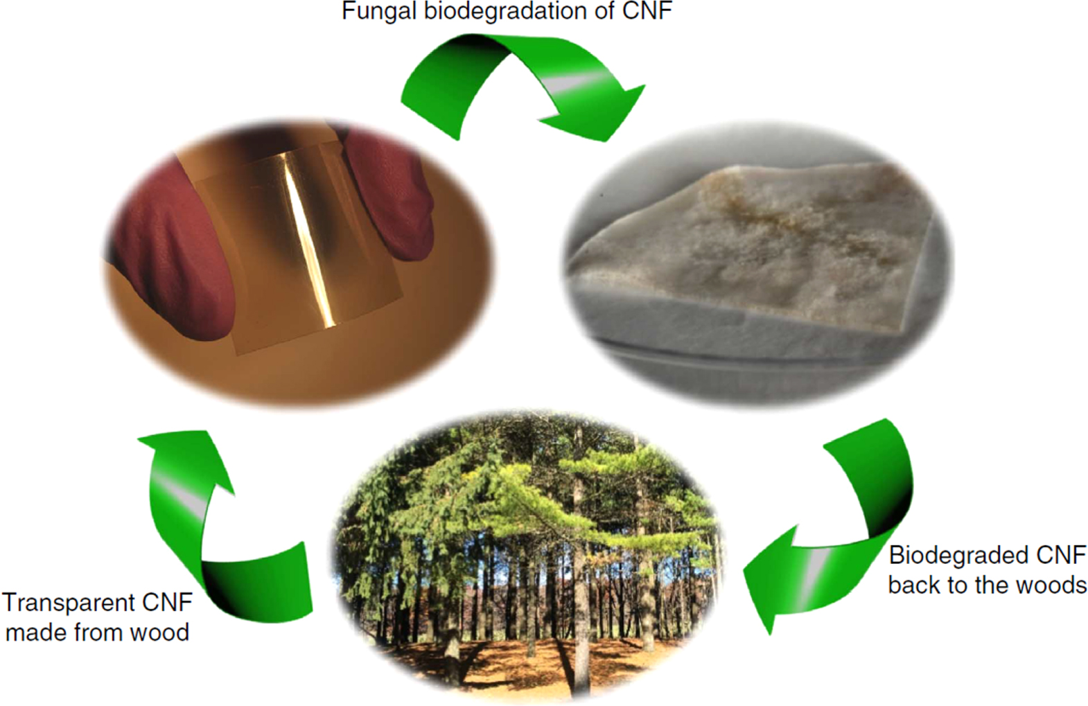 High-performance green semiconductor devices: materials, designs, and ...