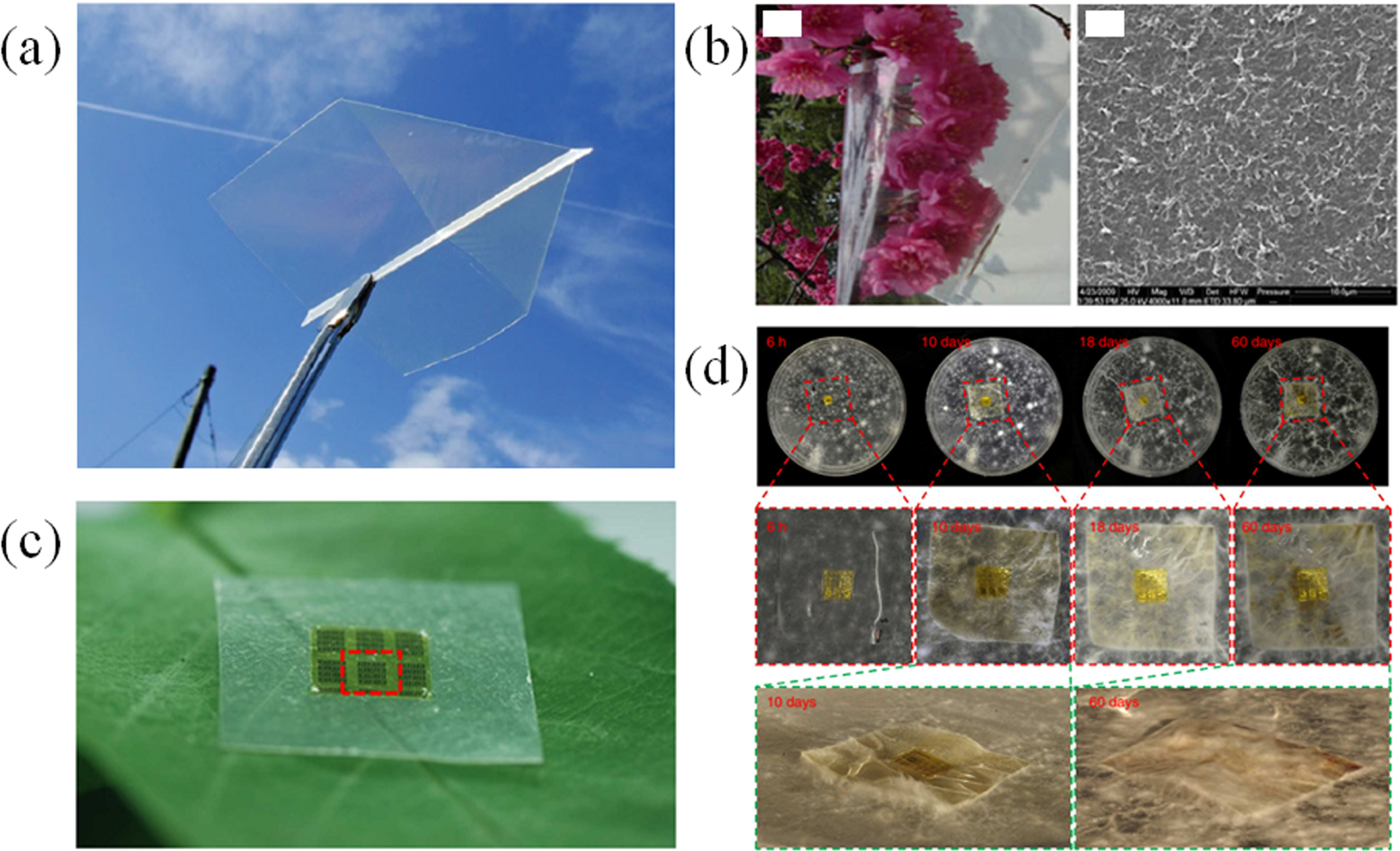 High-performance green semiconductor devices: materials, designs, and ...