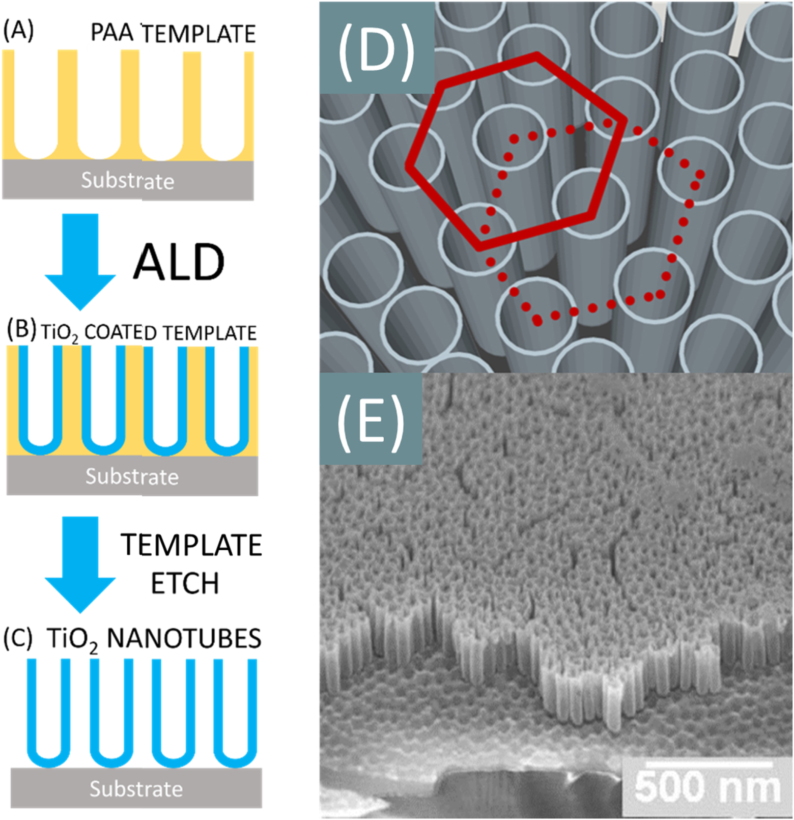 Titanium dioxide thin films by atomic layer deposition: a review ...