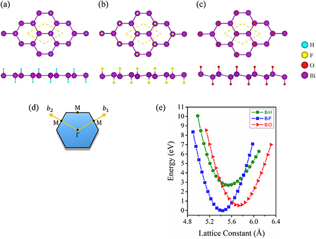 First-principles investigation of two-dimensional topological insulators BiX (X=H, F, O ...