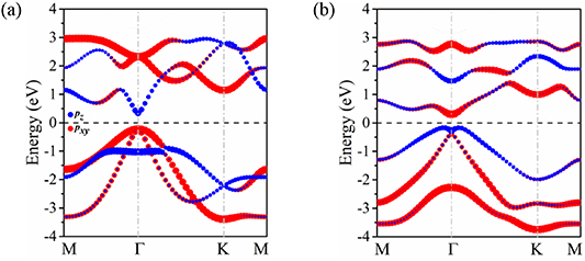 First-principles investigation of two-dimensional topological insulators BiX (X=H, F, O ...