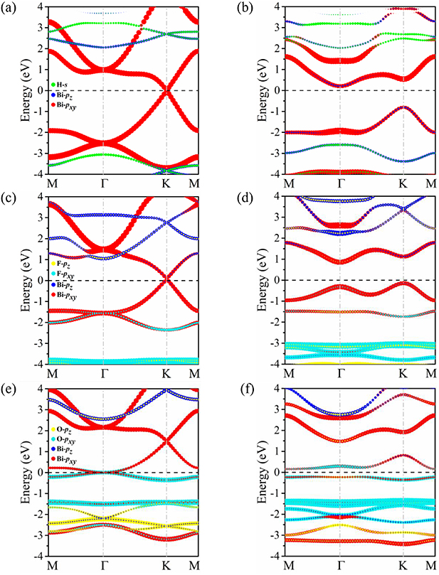 First-principles investigation of two-dimensional topological insulators BiX (X=H, F, O ...