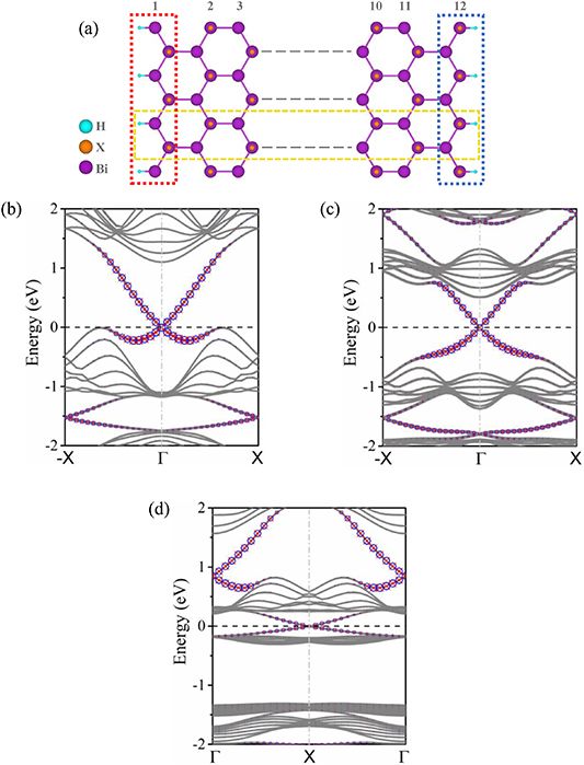First-principles investigation of two-dimensional topological insulators BiX (X=H, F, O ...