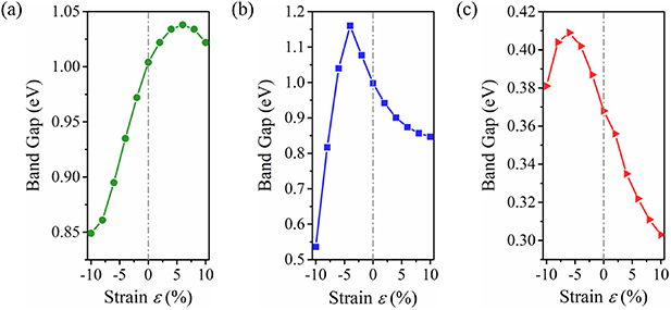 First-principles investigation of two-dimensional topological insulators BiX (X=H, F, O ...
