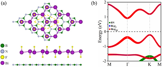 First-principles investigation of two-dimensional topological insulators BiX (X=H, F, O ...