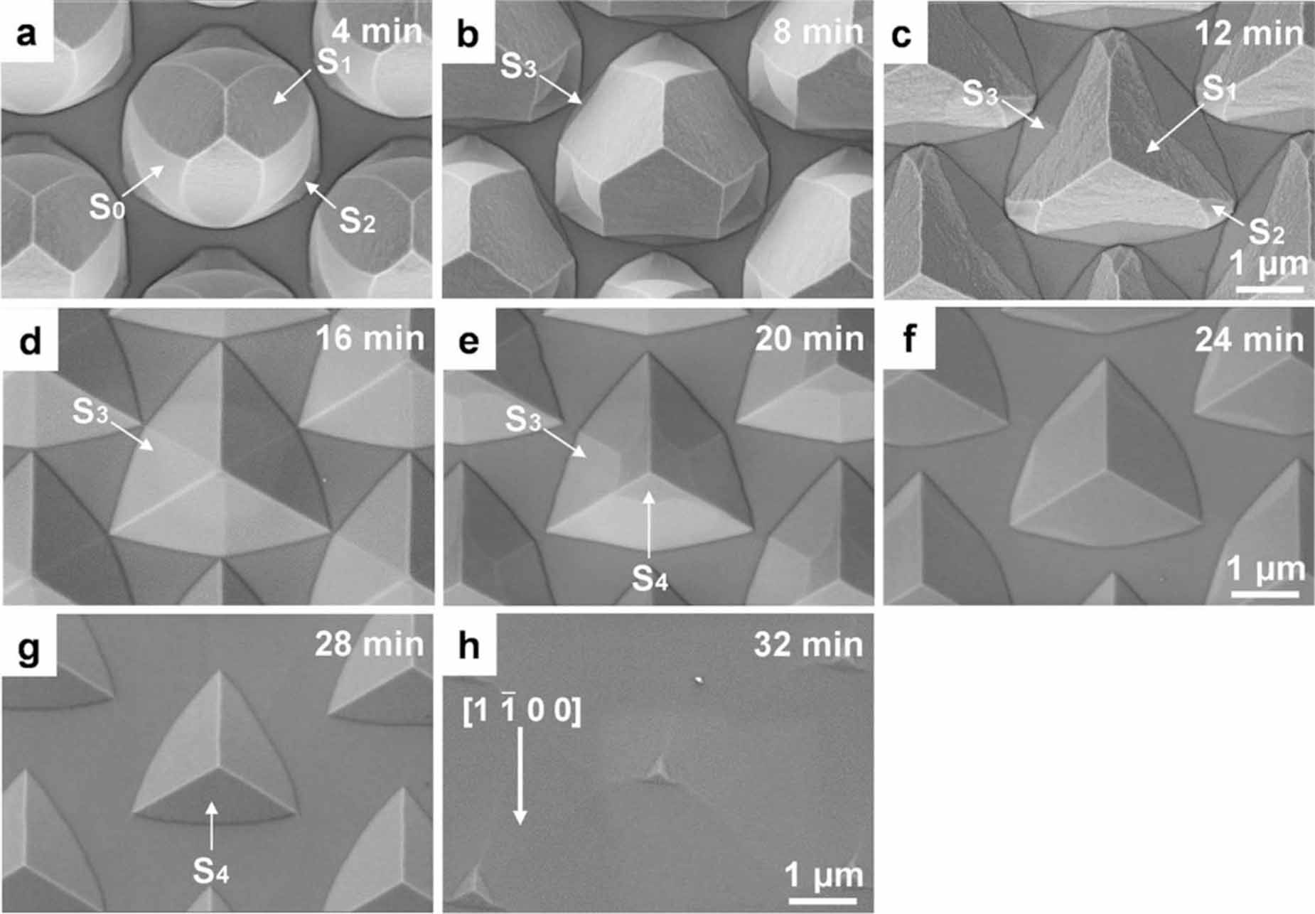 Continuum level-set model for anisotropic wet etching of patterned ...
