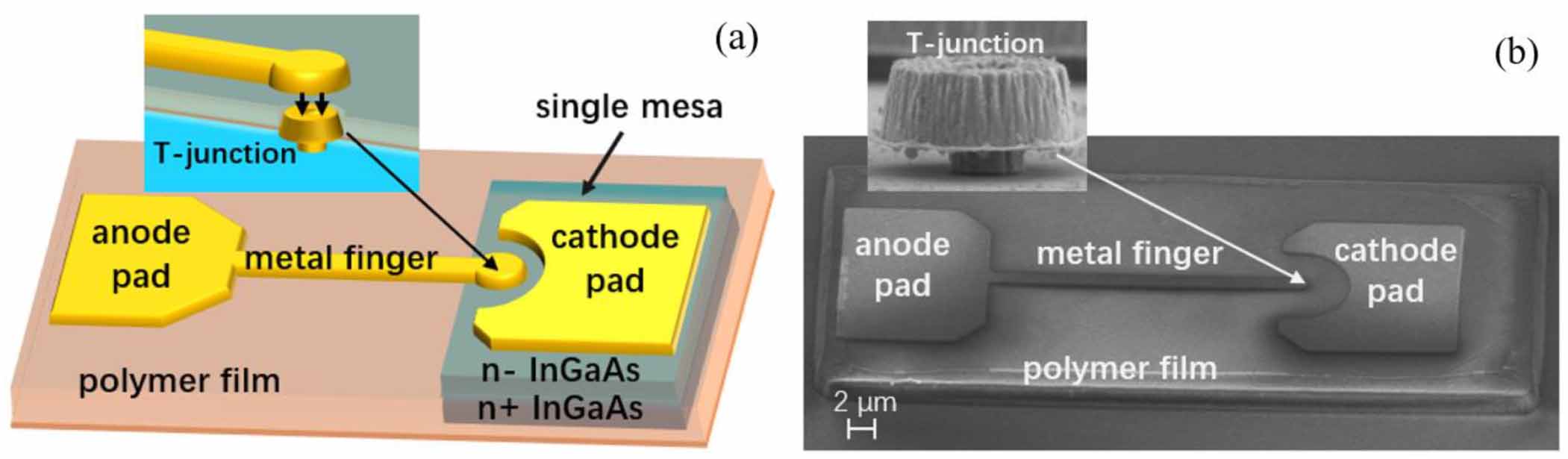 Design of film supported single mesa Schottky diodes for above 1THz ...