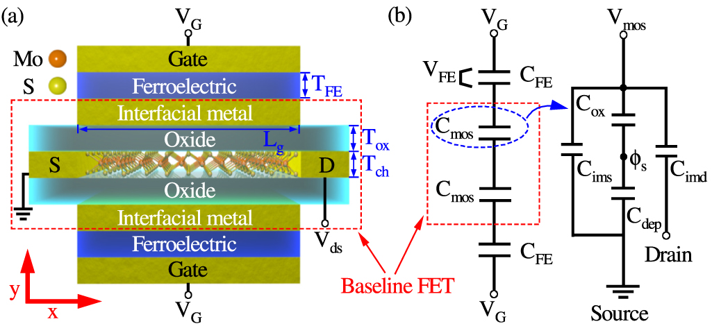 Low-power double-gate MoS2 negative capacitance transistors with near ...