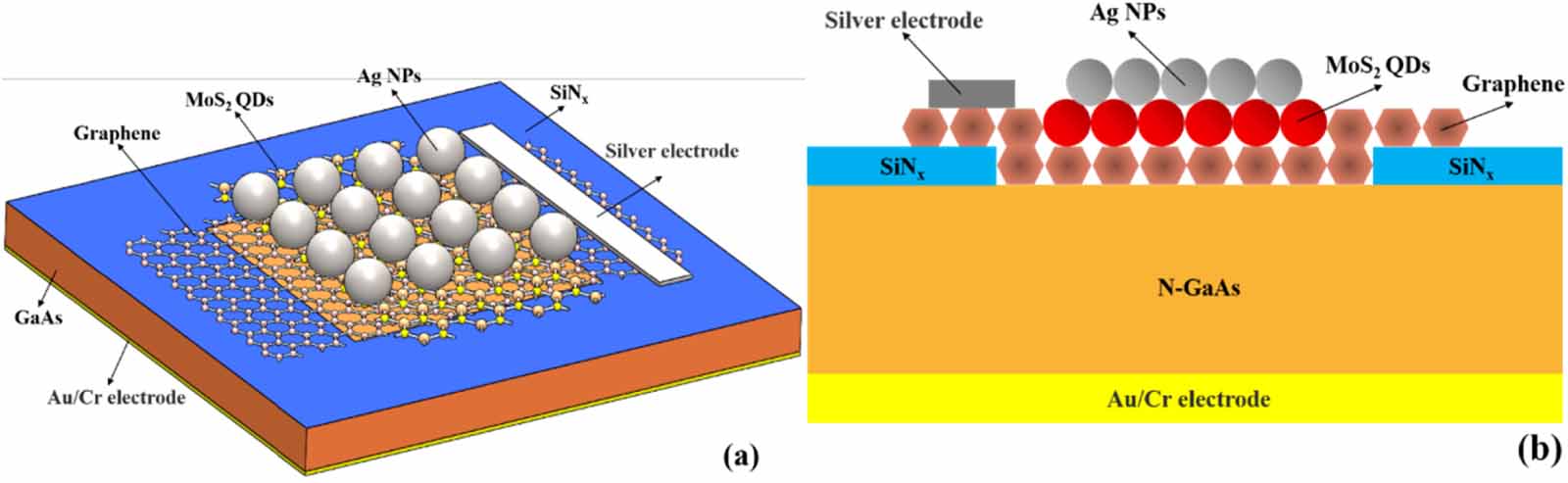 Ag NPs and MoS2 QDs double modified graphene/GaAs near-infrared ...