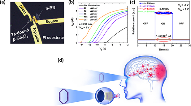 Flexible gallium oxide electronics - IOPscience