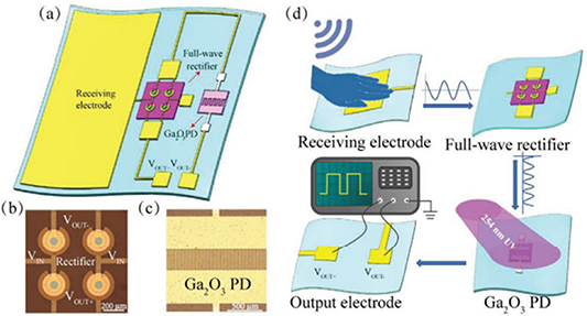 Flexible gallium oxide electronics - IOPscience
