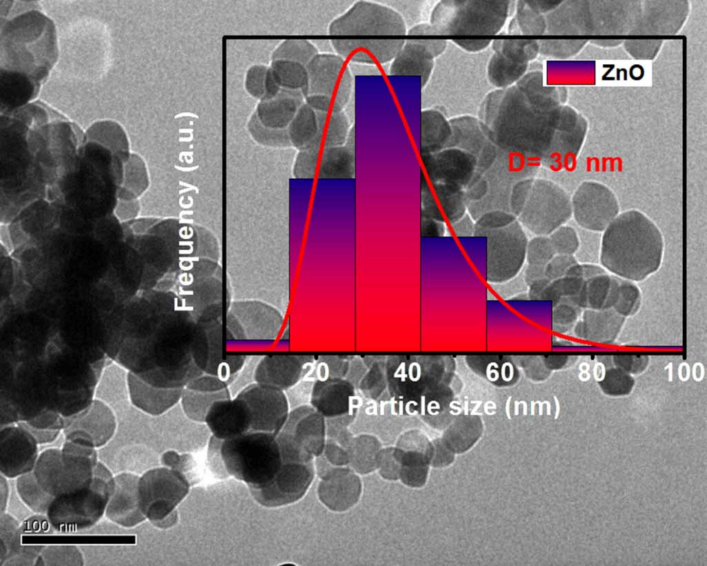 Zinc oxide-based sensor prepared by modified sol–gel route for ...