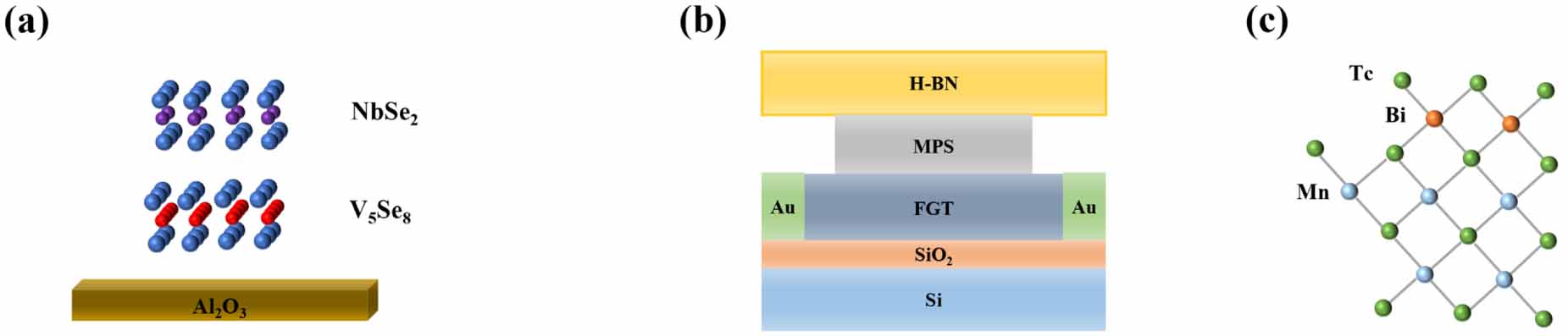 Review on magnetic/nonmagnetic heterojunction interface effects on ...