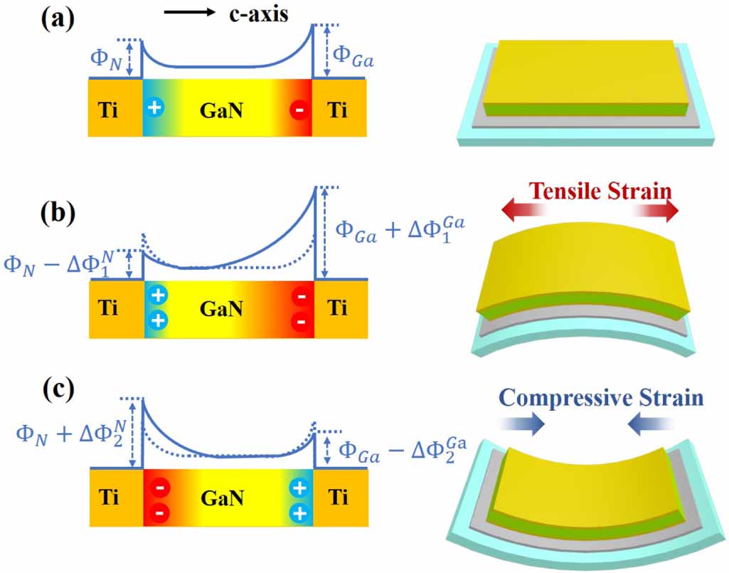 Strain-induced polarization modulation at GaN/Ti interface for flexible ...