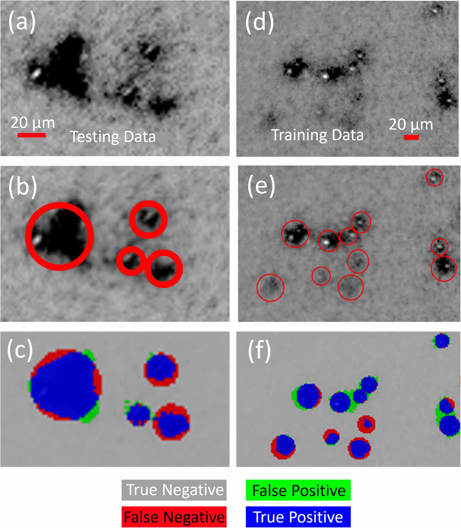Wafer scale assessment of dislocation defects on SiC wafers using a ...