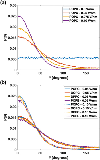 Quantification of in-plane flexoelectricity in lipid bilayers - IOPscience