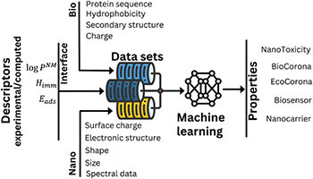 Computational modelling of bionano interface - IOPscience