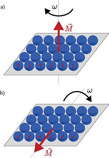 On the Einstein-de Haas effect in van der Waals microelectromechanical ...