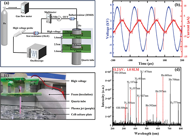 Selective anticancer effects of plasma-activated PBS on agarose ...