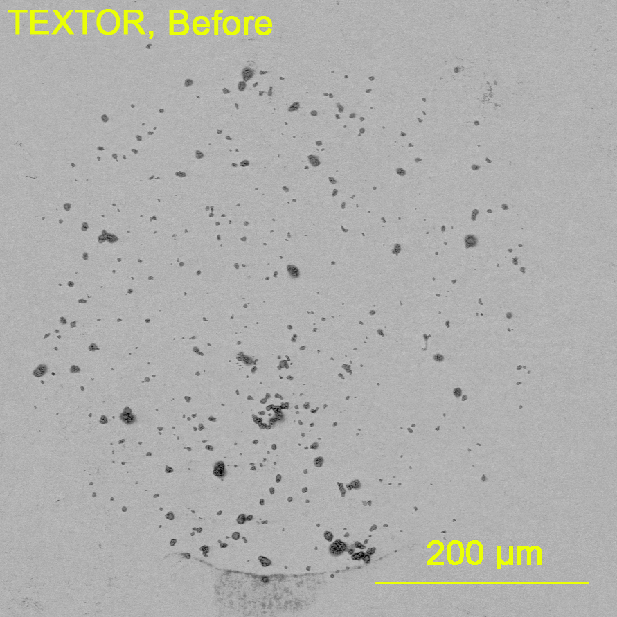Dust remobilization in fusion plasmas under steady state conditions ...
