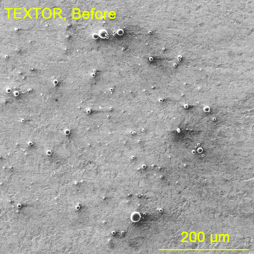 Dust remobilization in fusion plasmas under steady state conditions ...