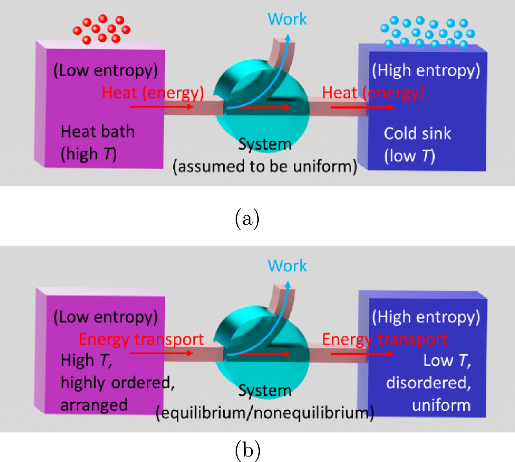 Plasma shapes optimized for functional output and quantified by entropy ...