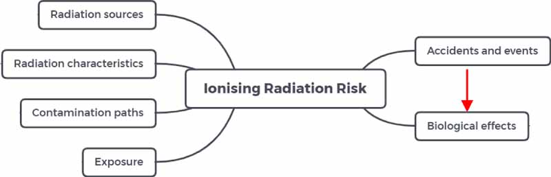 Ionising radiation risk perception through mental models: towards ...
