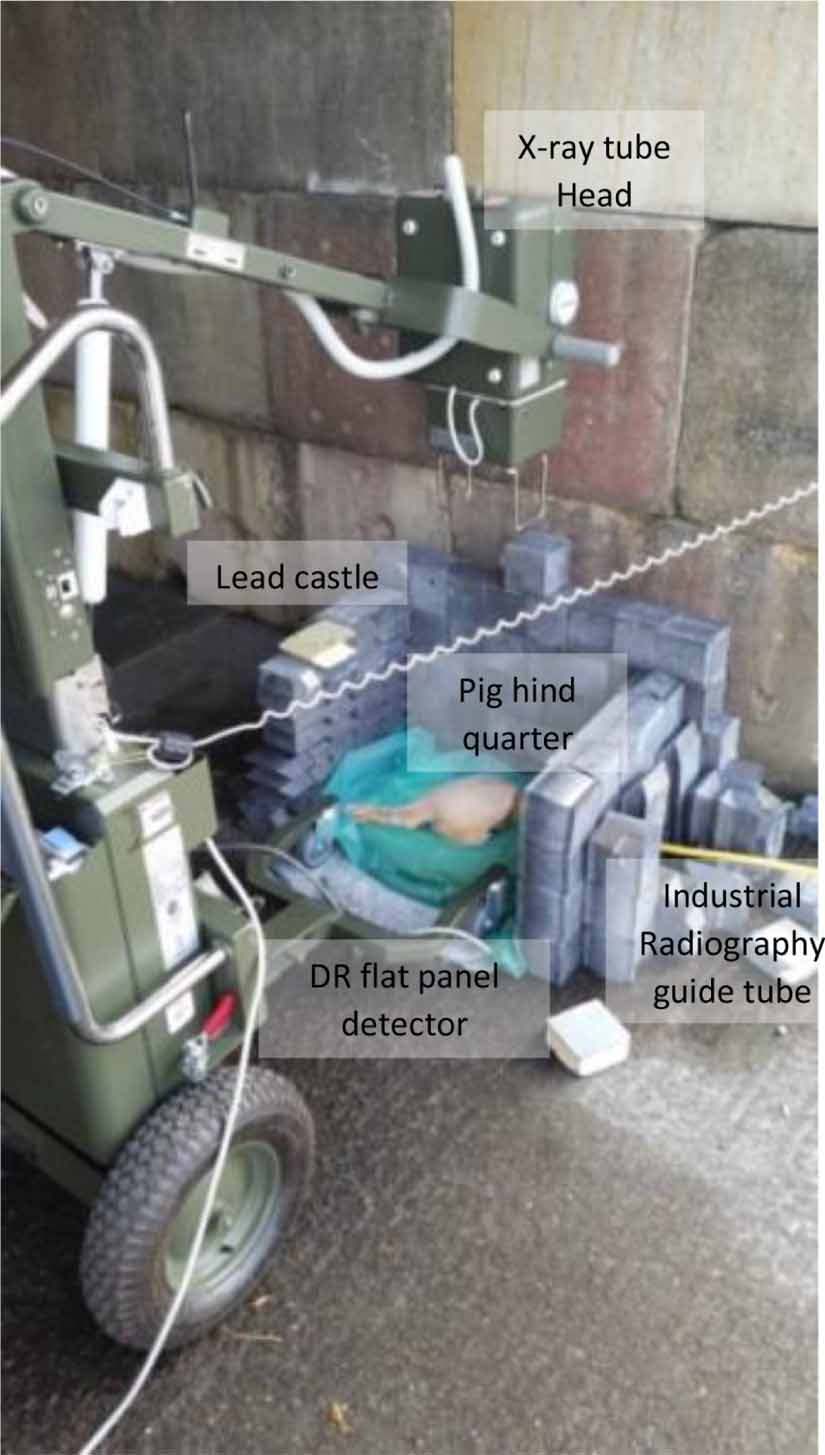 Assessment of the potential impact of embedded radioactive fragments ...