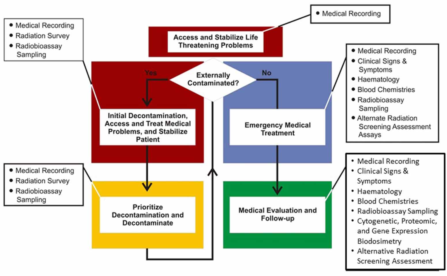 Early-response multiple-parameter biodosimetry and dosimetry: risk ...
