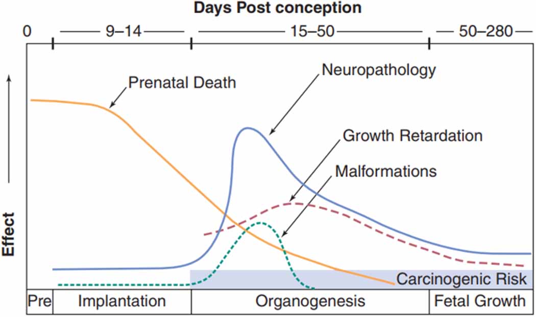 Radiation exposures in pregnancy, health effects and risks to the ...