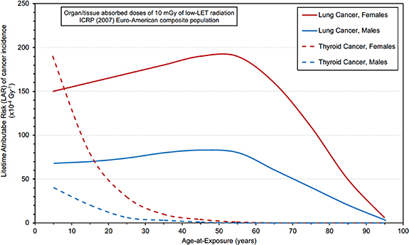 Effective doses and risks from medical diagnostic x-ray examinations ...