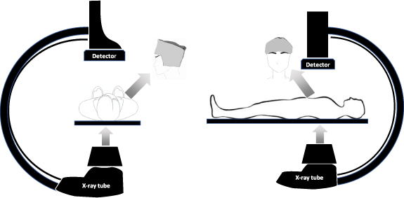 Efficacy of radiation attenuating caps in reducing radiation doses ...