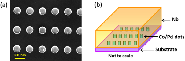 Probing the dynamic response of antivortex, interstitial and trapped ...