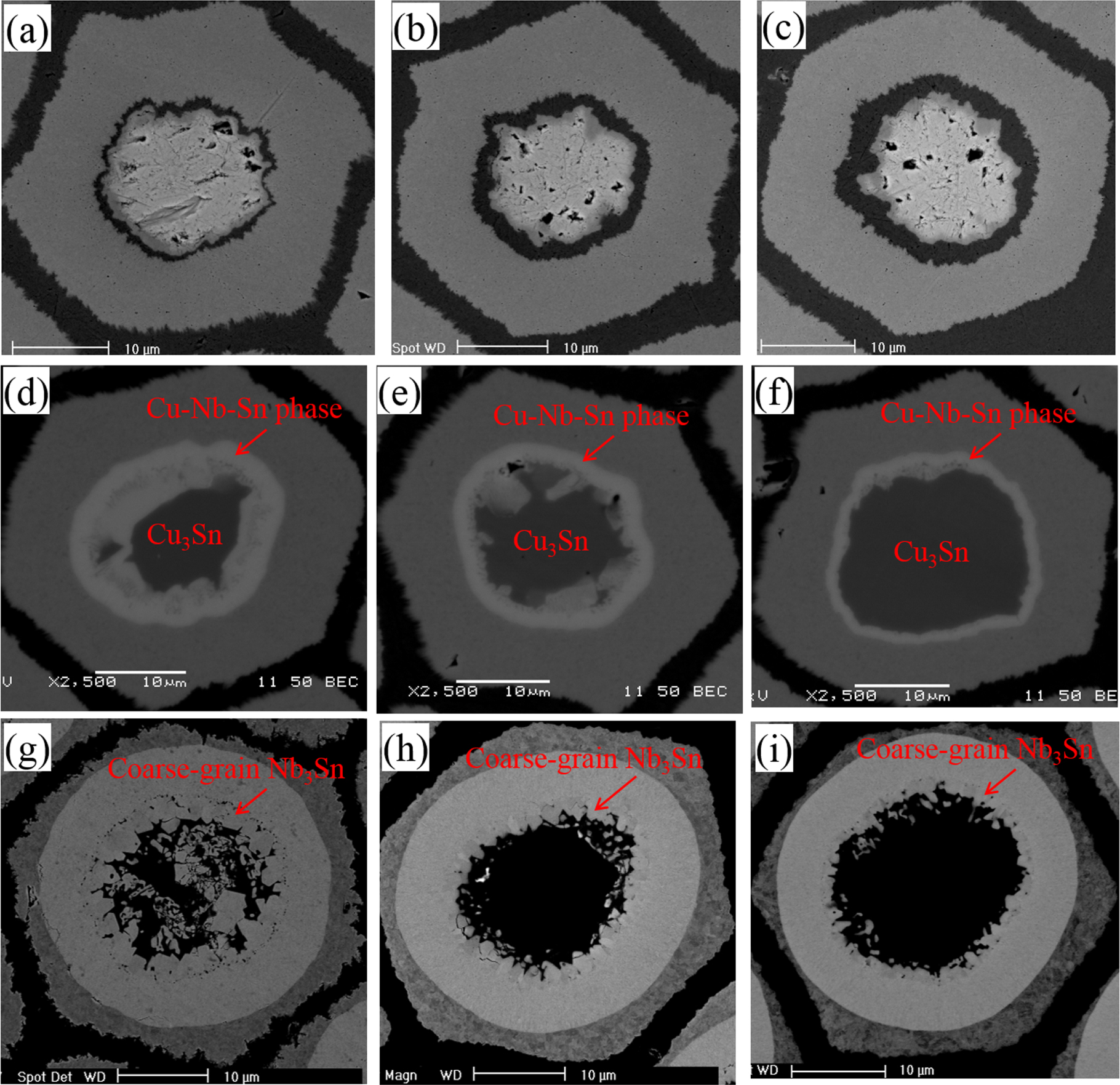A review and prospects for Nb3Sn superconductor development - IOPscience