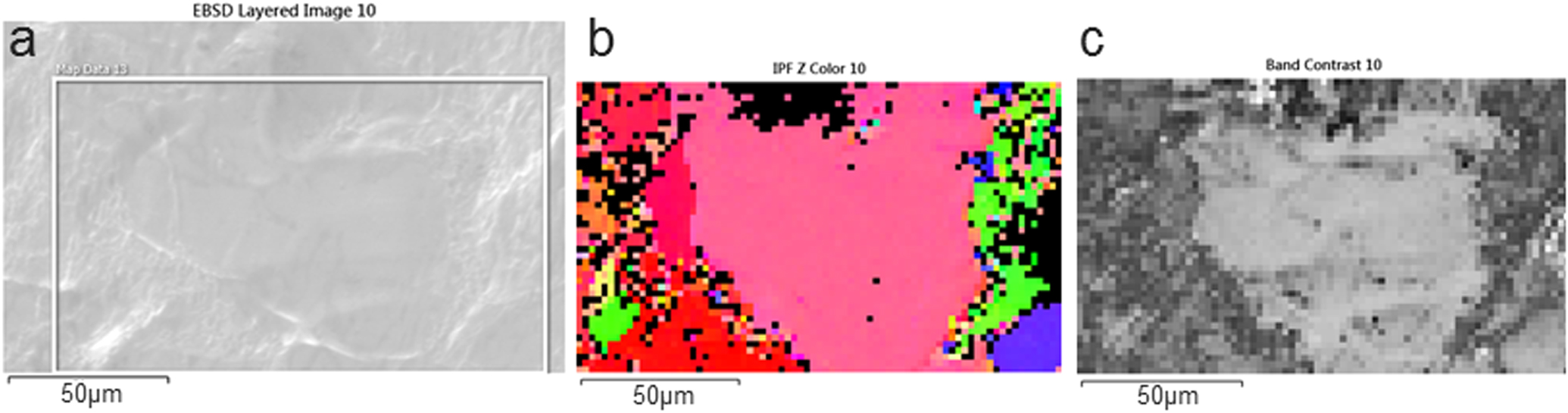 Performance-defining properties of Nb3Sn coating in SRF cavities ...