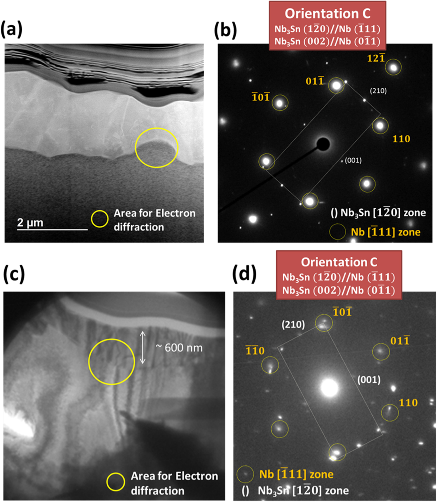 Atomic-scale analyses of Nb3Sn on Nb prepared by vapor diffusion for ...