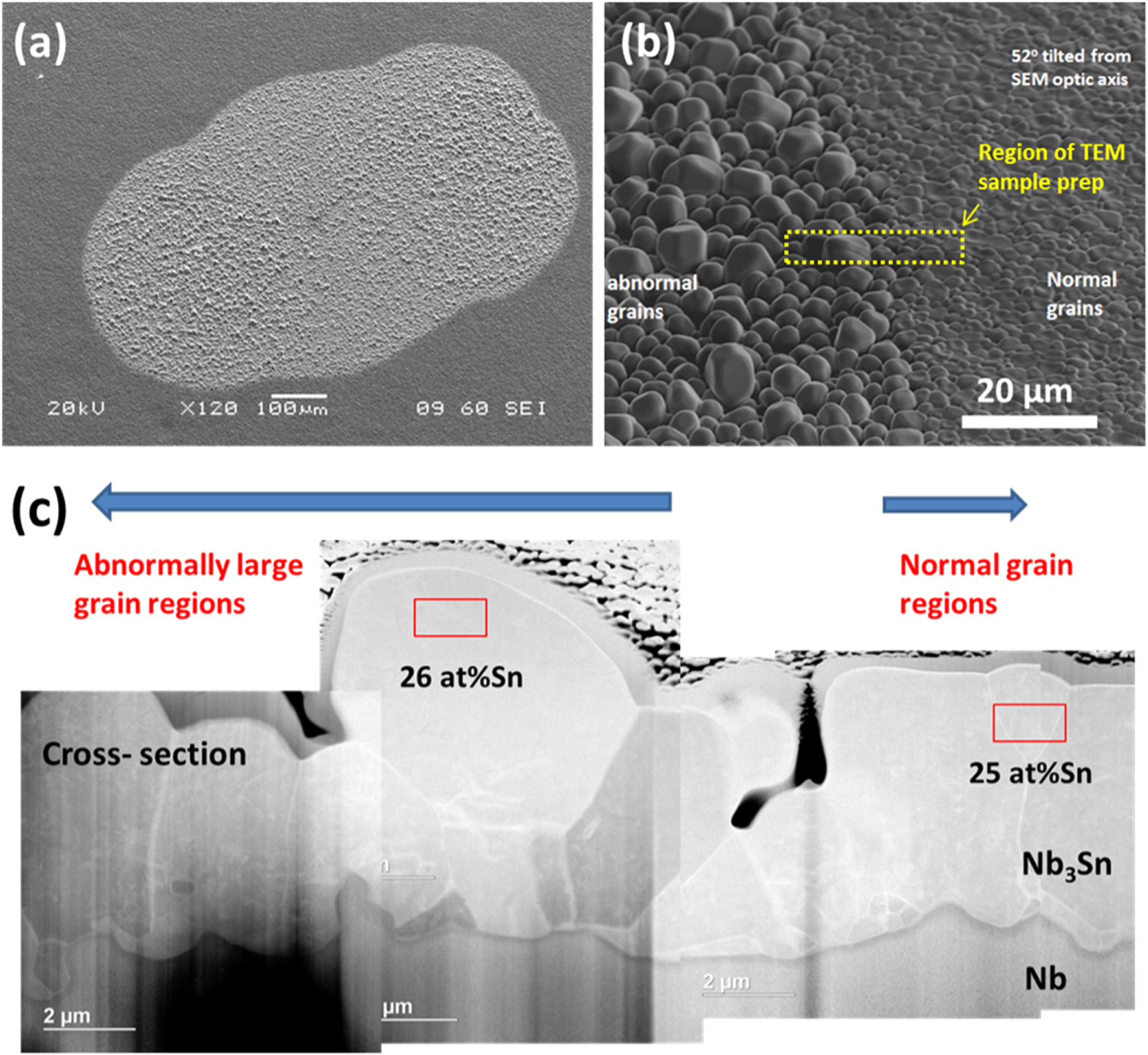 Atomic-scale analyses of Nb3Sn on Nb prepared by vapor diffusion for ...