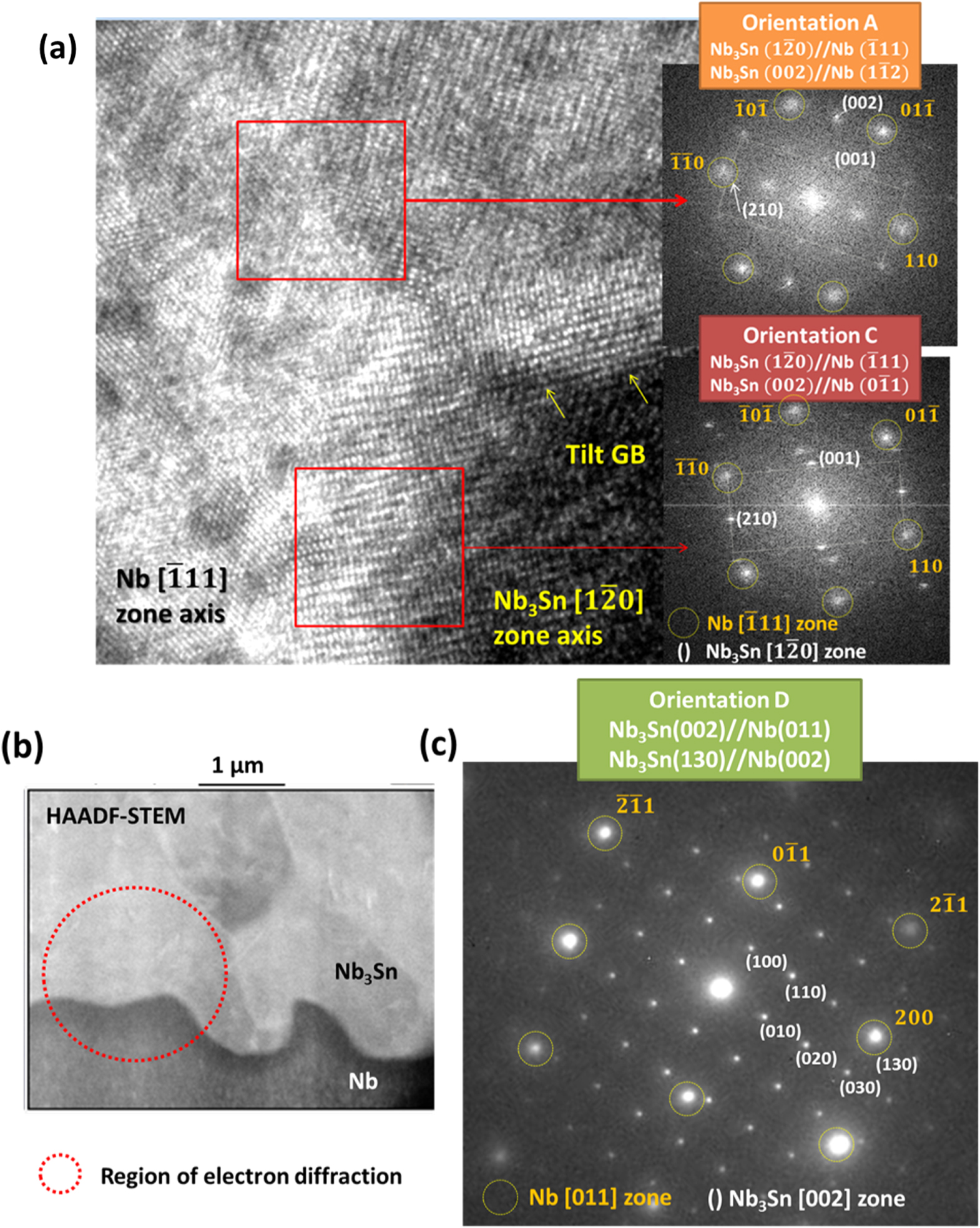 Atomic-scale analyses of Nb3Sn on Nb prepared by vapor diffusion for ...