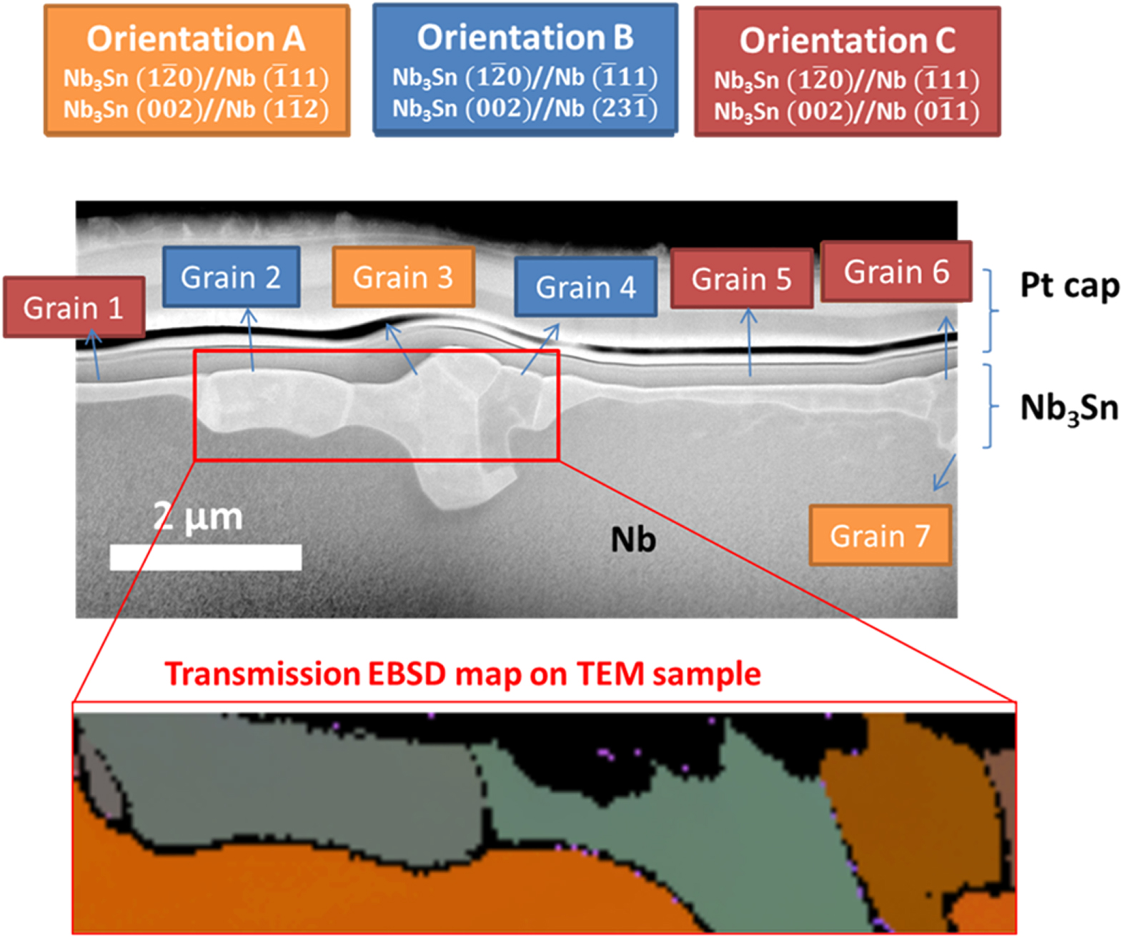 Atomic-scale analyses of Nb3Sn on Nb prepared by vapor diffusion for ...