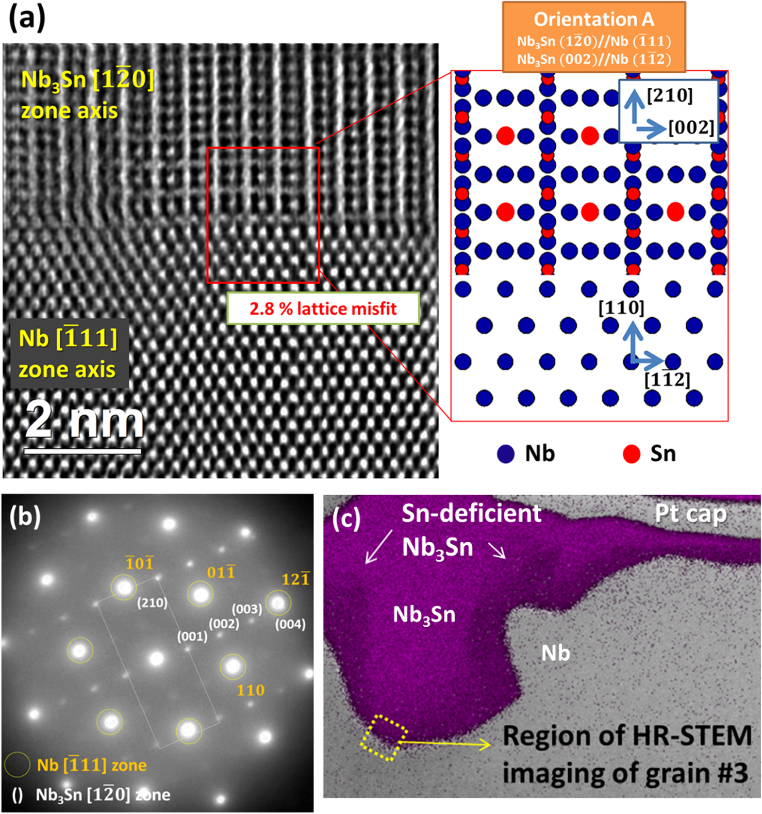 Atomic-scale analyses of Nb3Sn on Nb prepared by vapor diffusion for ...