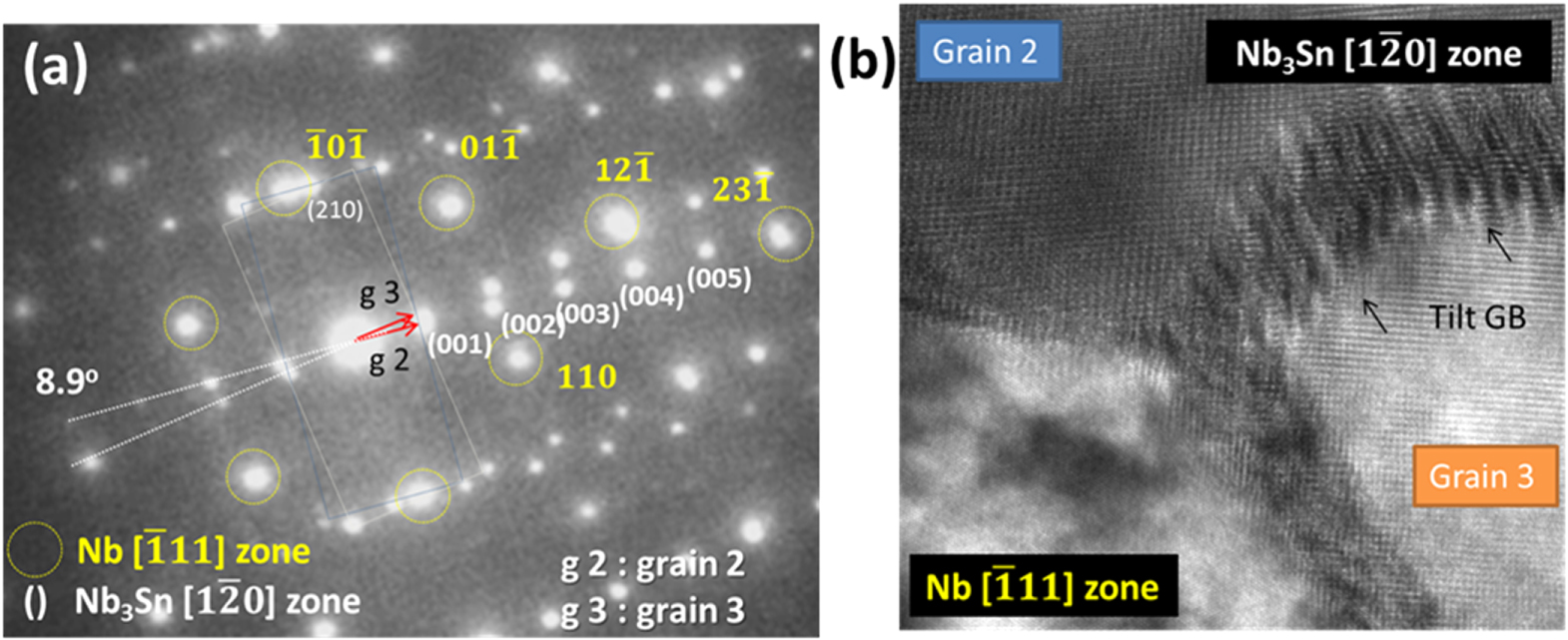 Atomic-scale analyses of Nb3Sn on Nb prepared by vapor diffusion for ...