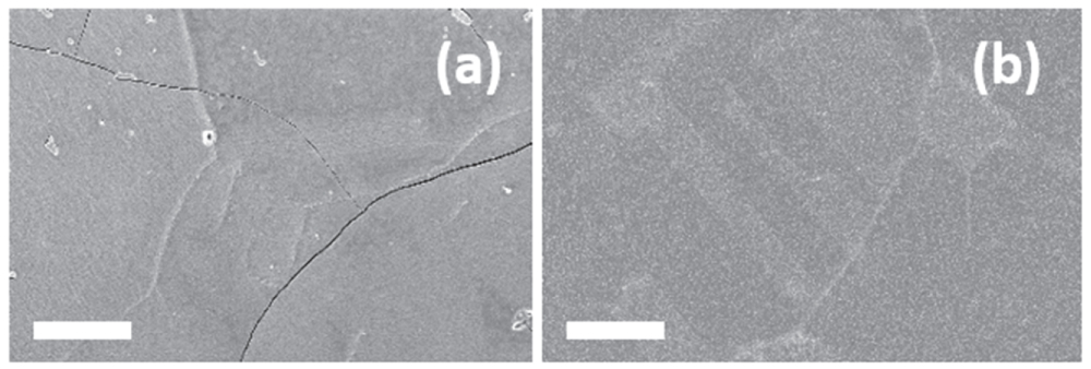 Development of sputtered Nb3Sn films on copper substrates for ...