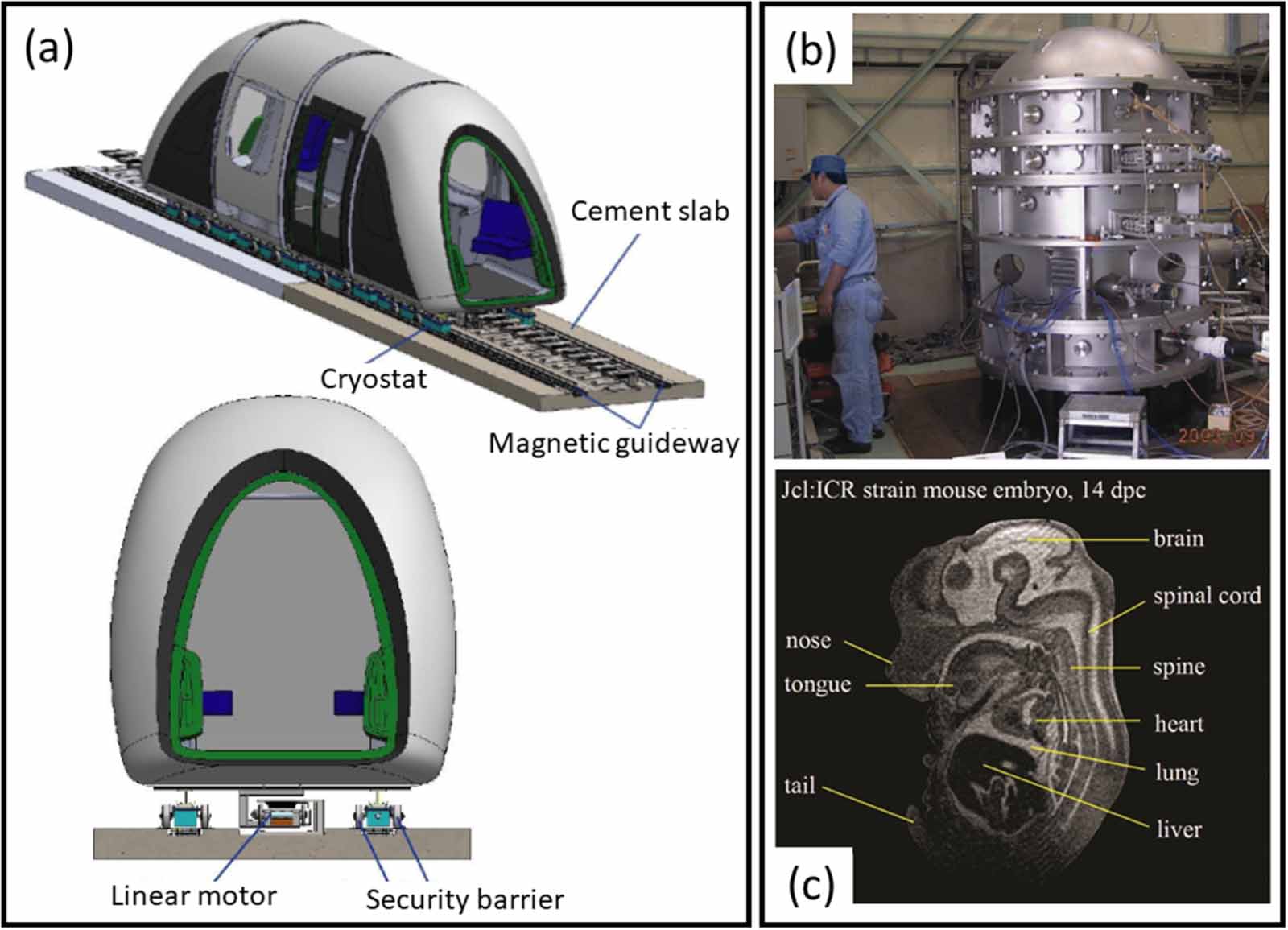 The processing and properties of bulk (RE)BCO high temperature ...