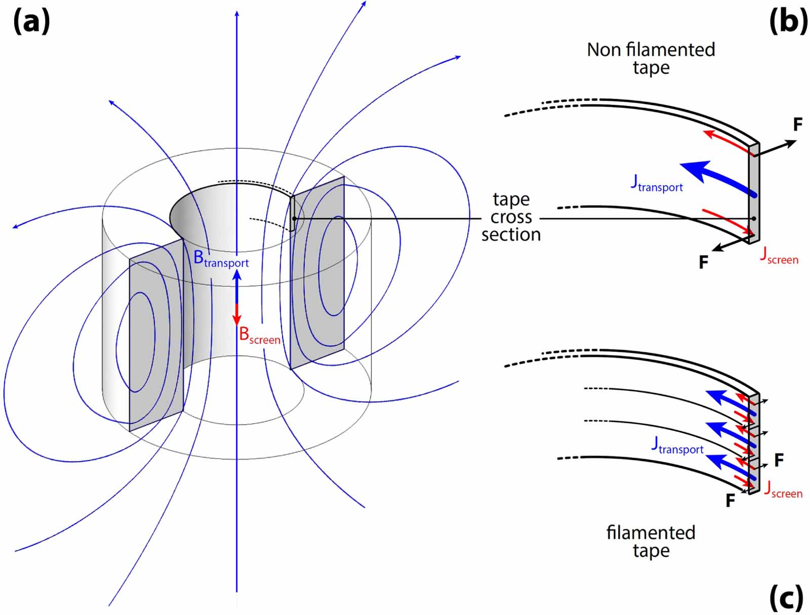 Multifilamentary coated conductors for ultra-high magnetic field ...