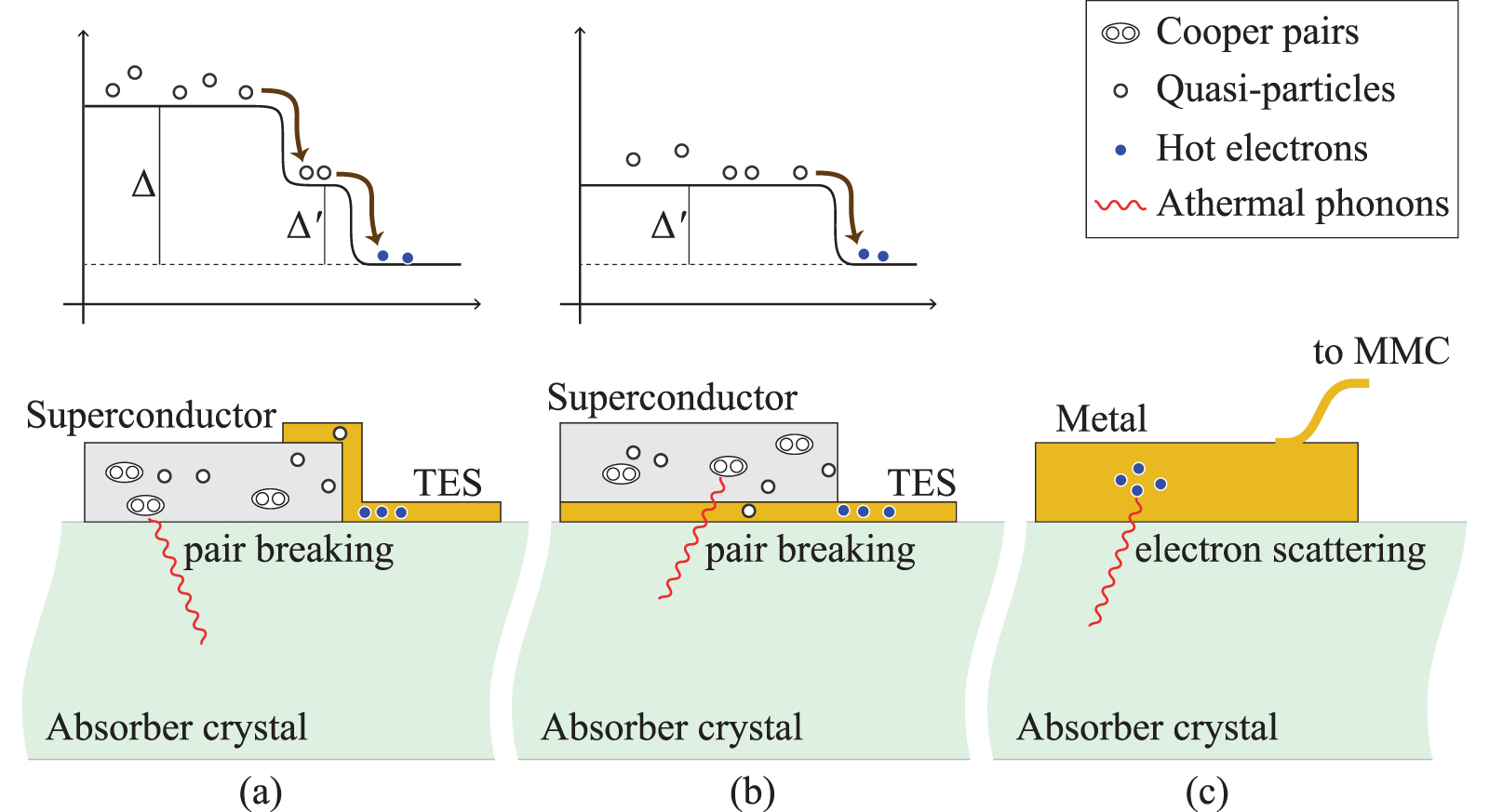 Superconducting detectors for rare event searches in experimental ...
