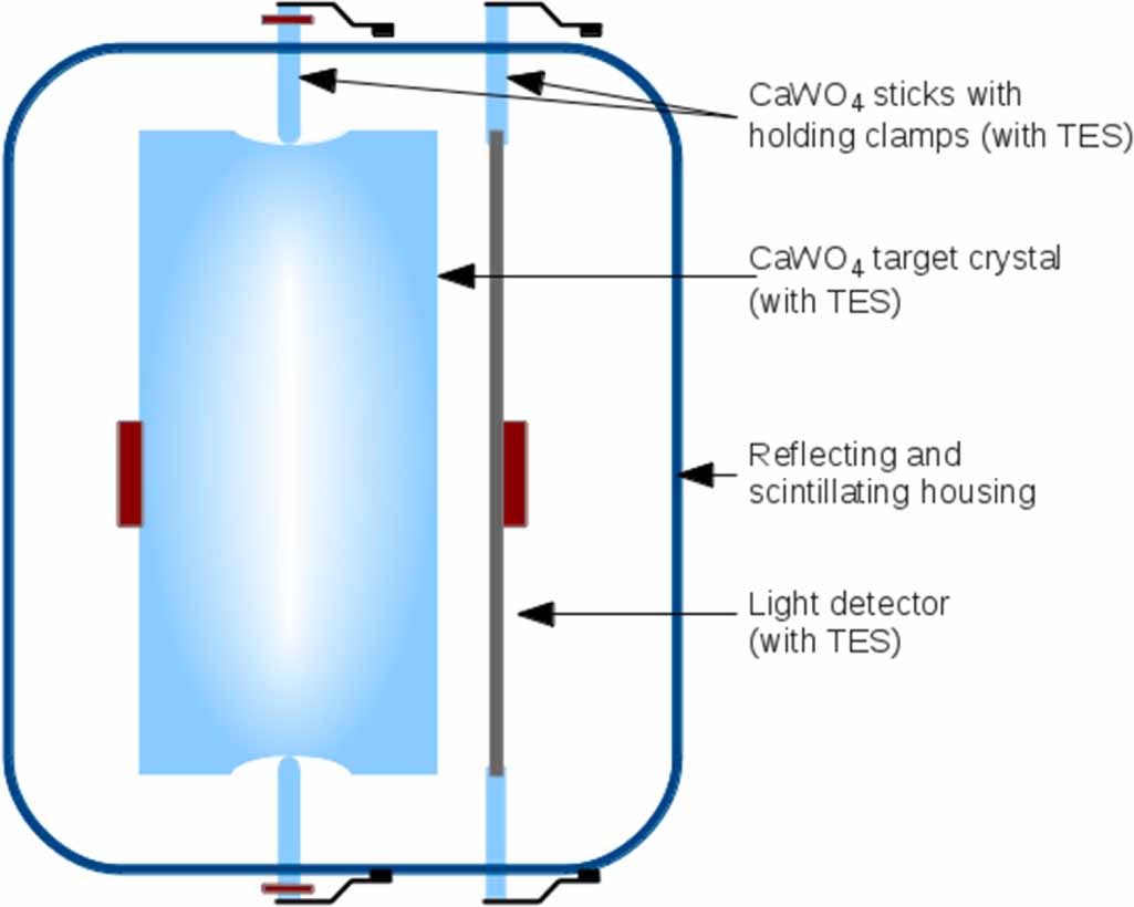 Superconducting detectors for rare event searches in experimental ...