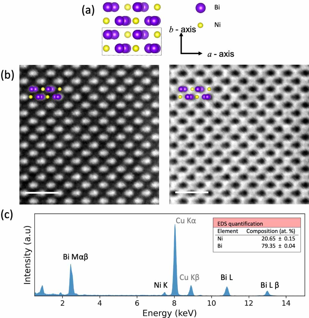 Enhancement of vortex liquid phase and reentrant behavior in NiBi3 ...